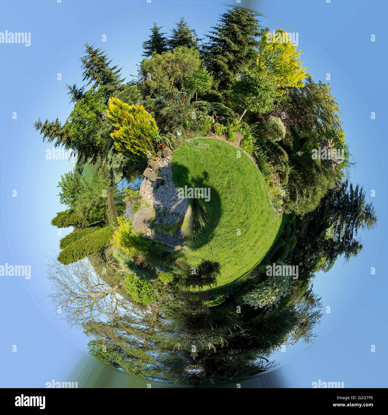 mini planet of Beautiful spring garden design, with conifer trees ...