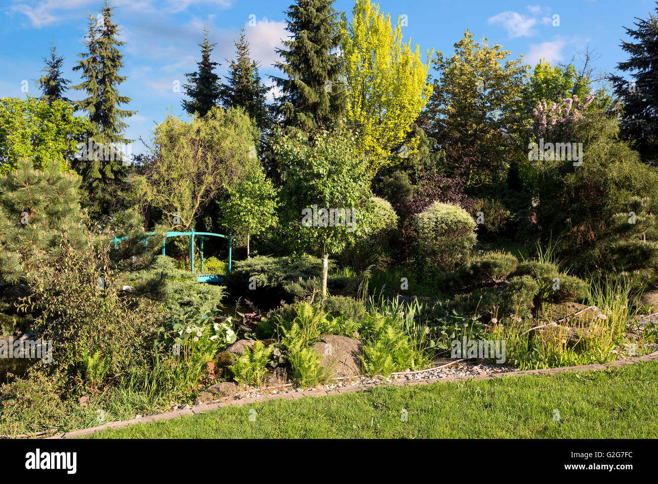 Beautiful spring garden design, with conifer trees, green grass and ...
