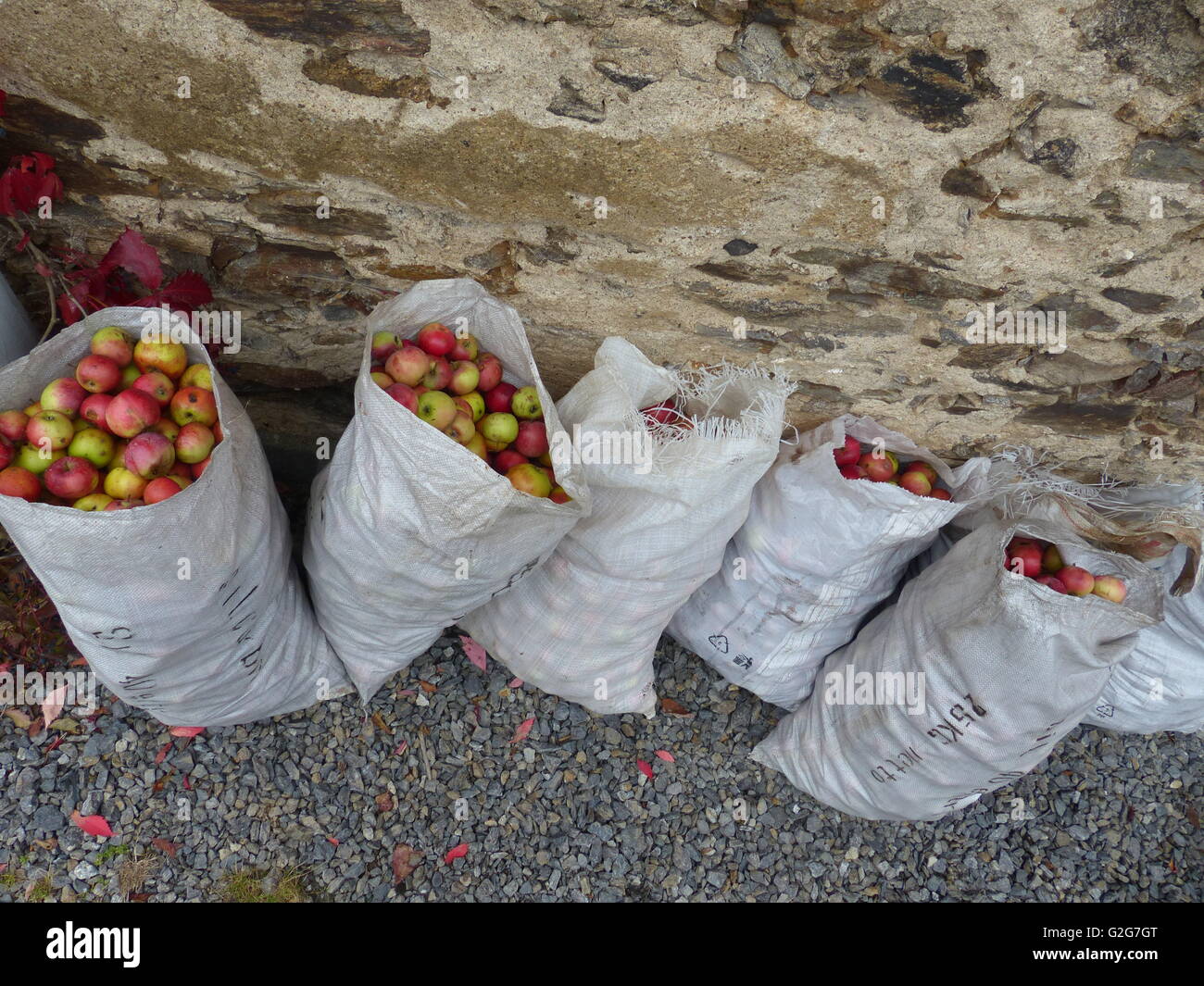 Apple surplus hi-res stock photography and images - Alamy