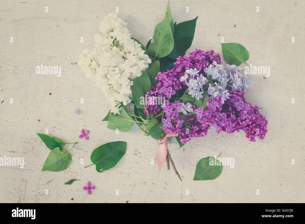 Bunch of fresh lilac Stock Photo - Alamy