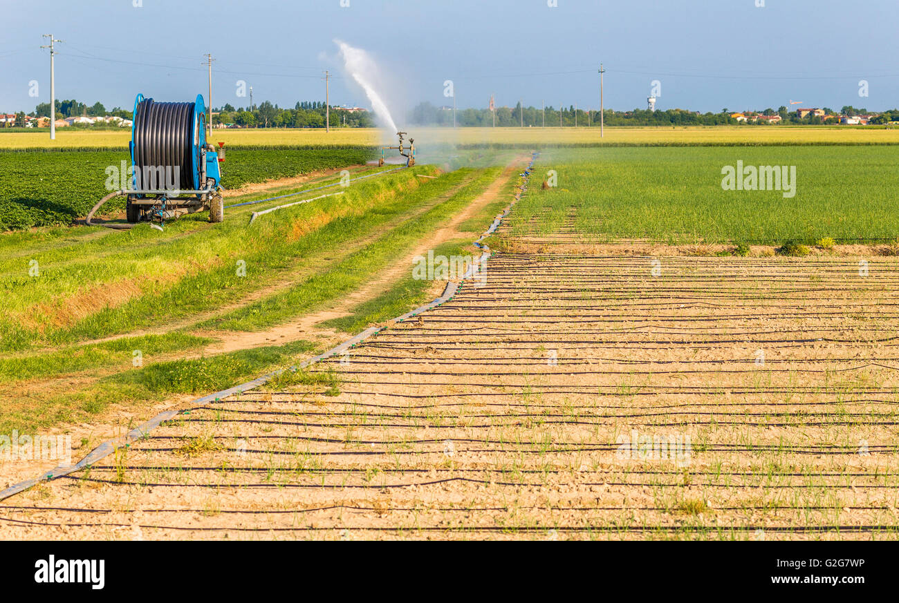 Modern irrigation system in farm hi-res stock photography and images ...