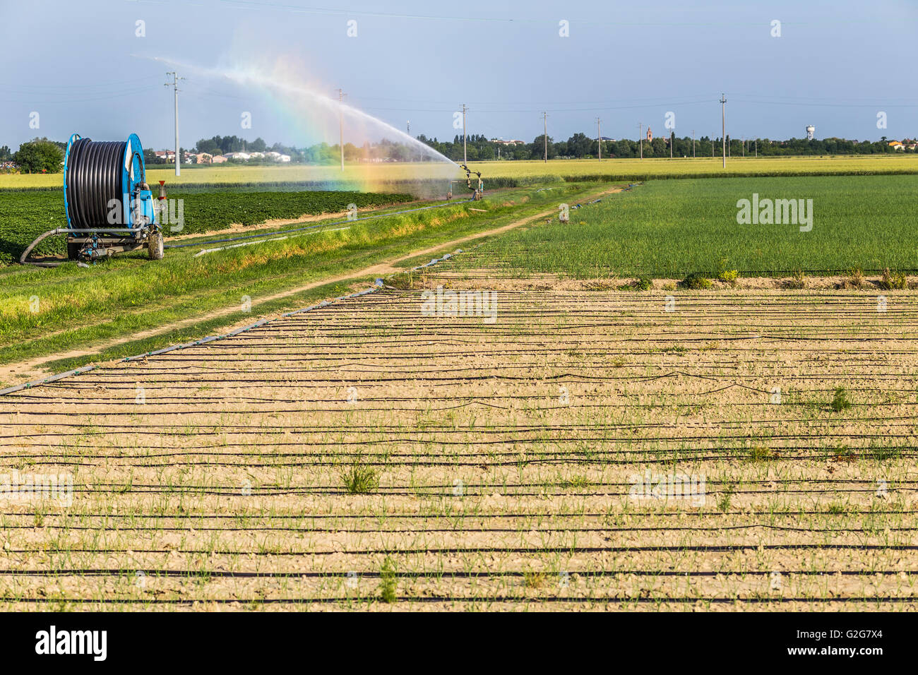 spray irrigation in the fields of Emilia Romagna Stock Photo - Alamy