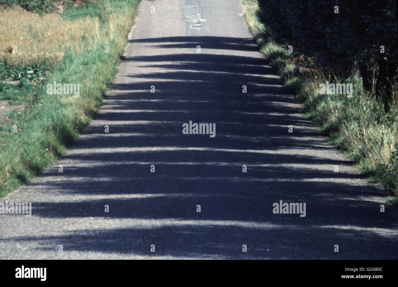 Shadows sweden hi-res stock photography and images - Alamy