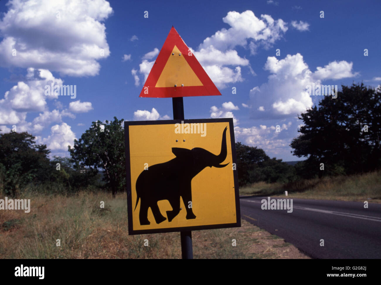 Road sign elephants crossing hi-res stock photography and images - Alamy