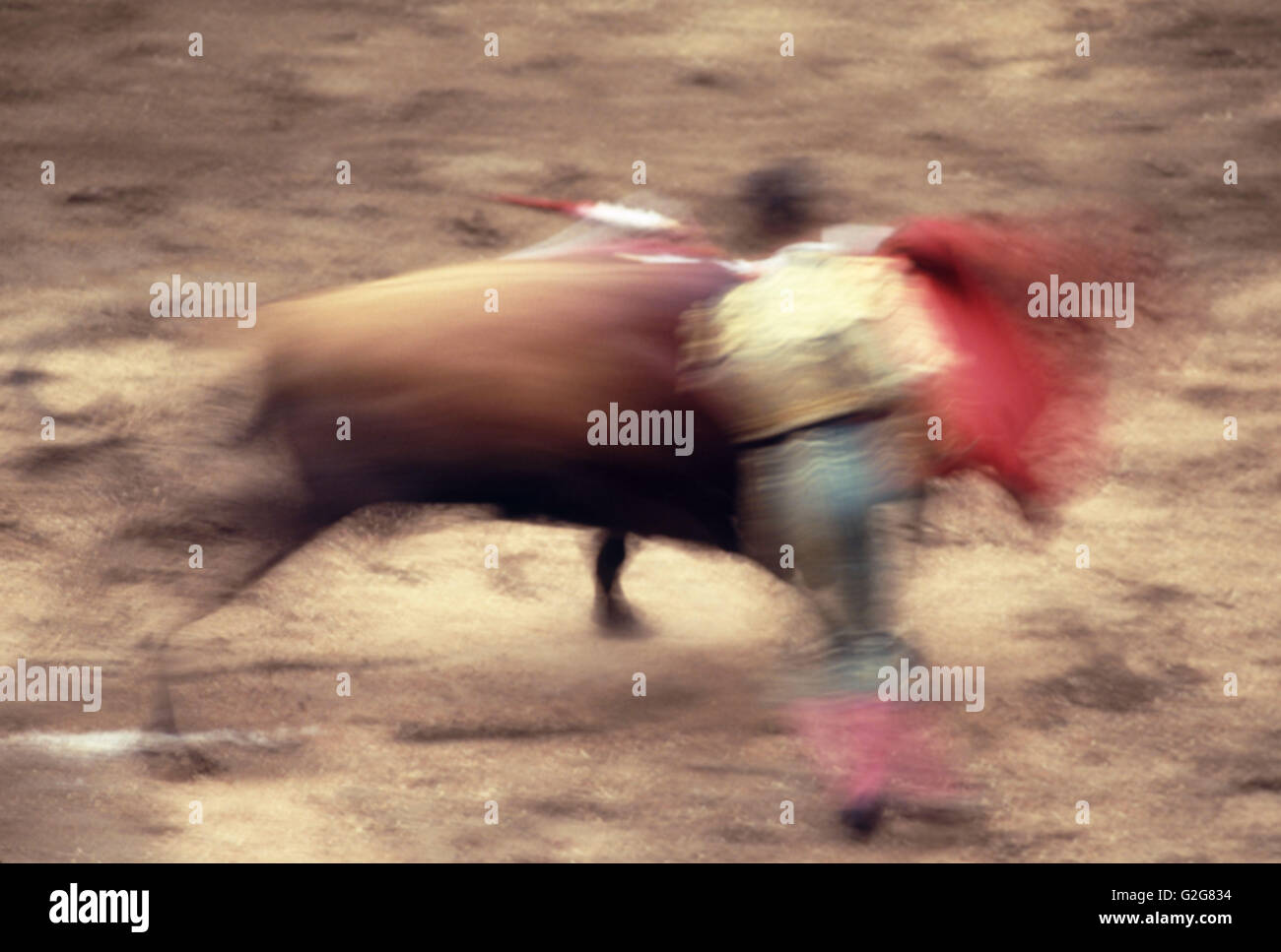 Matador bullfight bullfighter bull fight fighter mexico city hi-res ...