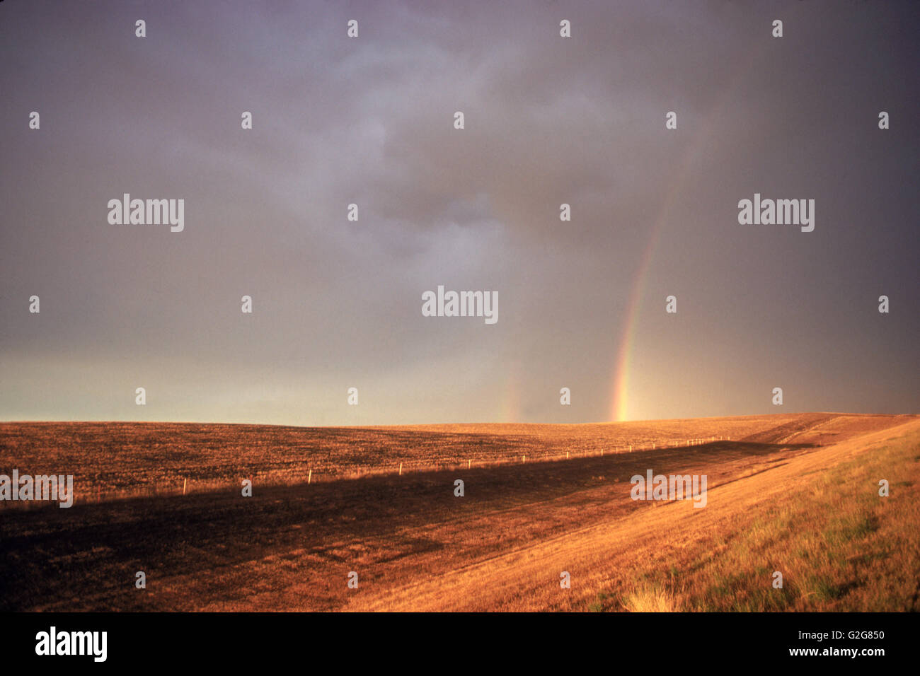 Corn field minnesota hi-res stock photography and images - Alamy