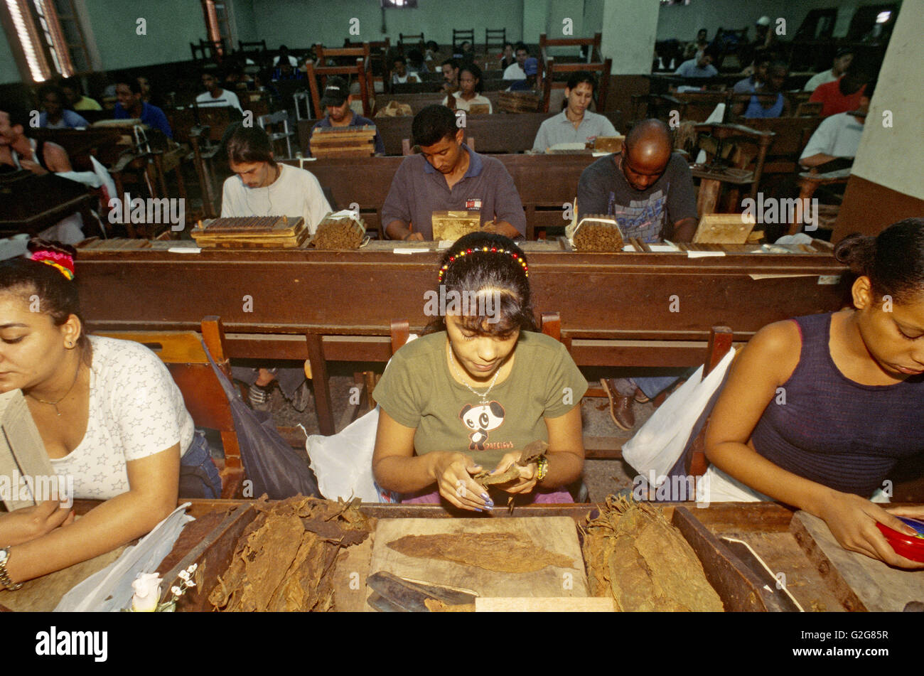 Women make cigars in the Cohiba factory; Havana, Cuba Stock Photo - Alamy