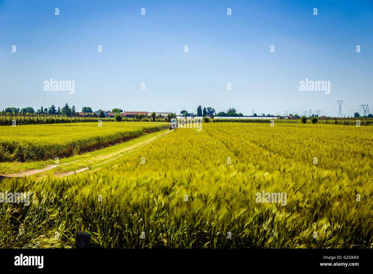 tractor on wheat fields in Italy Stock Photo - Alamy