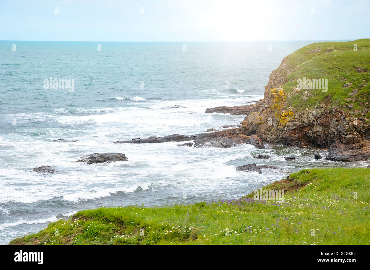 Beautiful sea coast with cliffs, grass and waves Stock Photo - Alamy