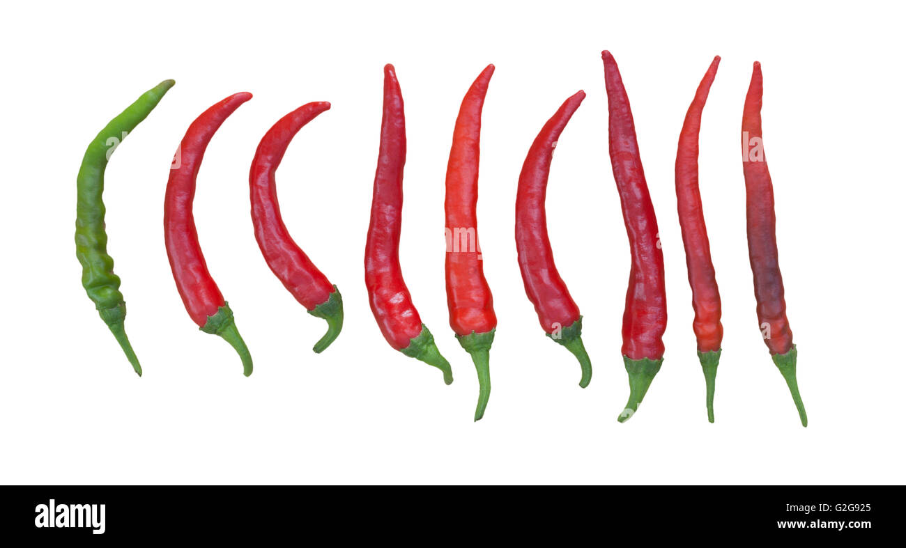 red chilis in a row with one single green chili pepper Stock Photo - Alamy