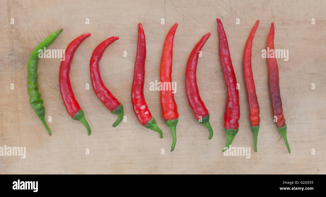 red chilis in a row with one single green chili pepper Stock Photo - Alamy