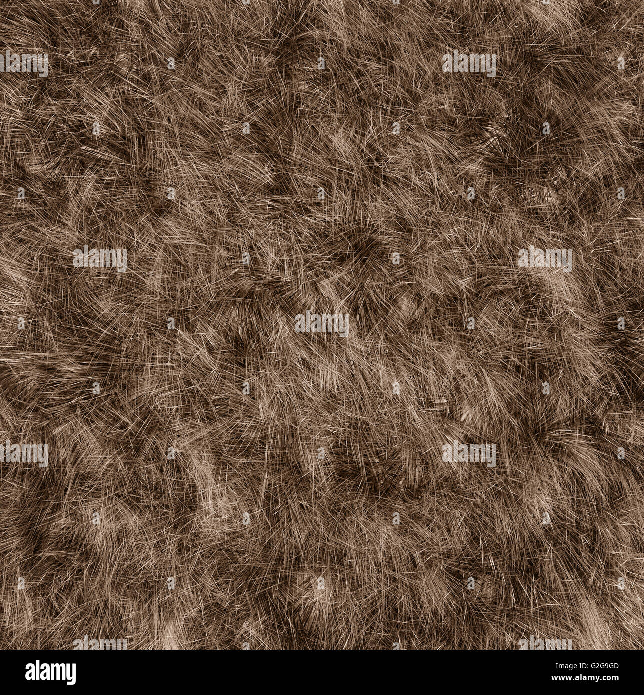 The texture of fur bear Stock Photo - Alamy