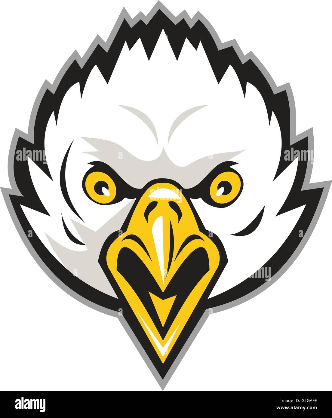 Eagle Head Front Vector