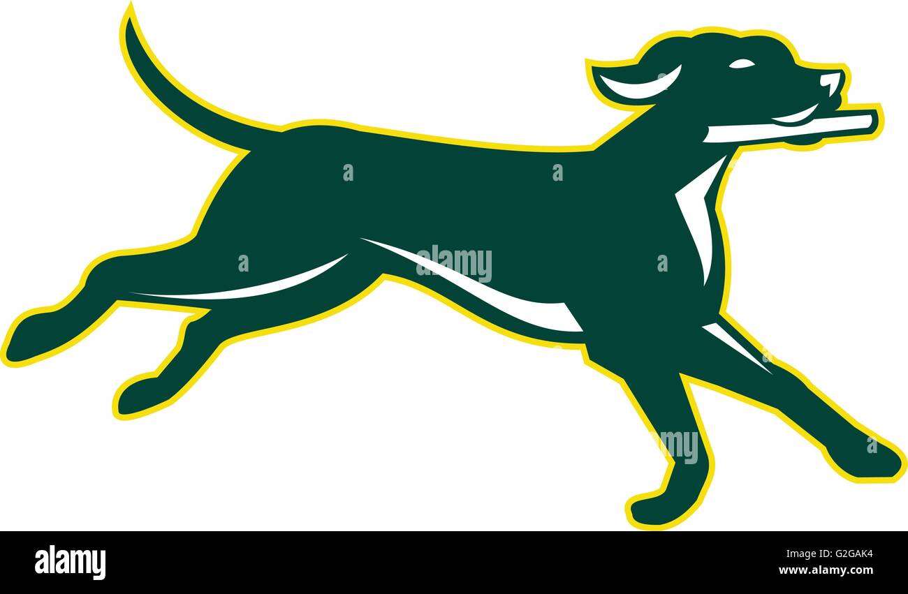 English pointer running Stock Vector Images - Alamy