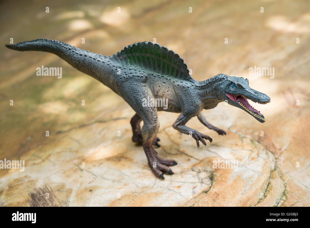 Spinosaurus model hi-res stock photography and images - Alamy