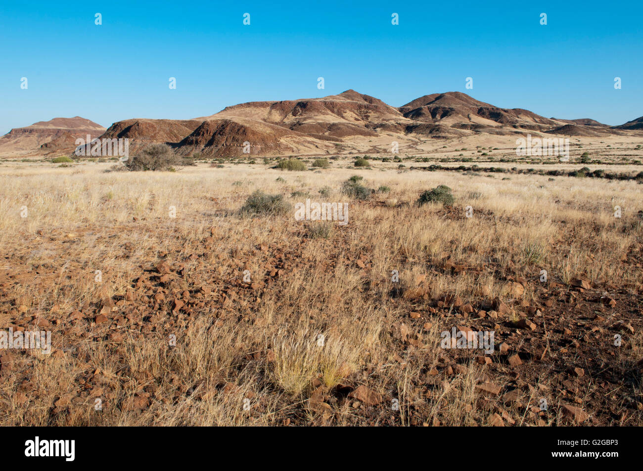Landscape in the Huab River Valley, Huab River Valley, Torra ...