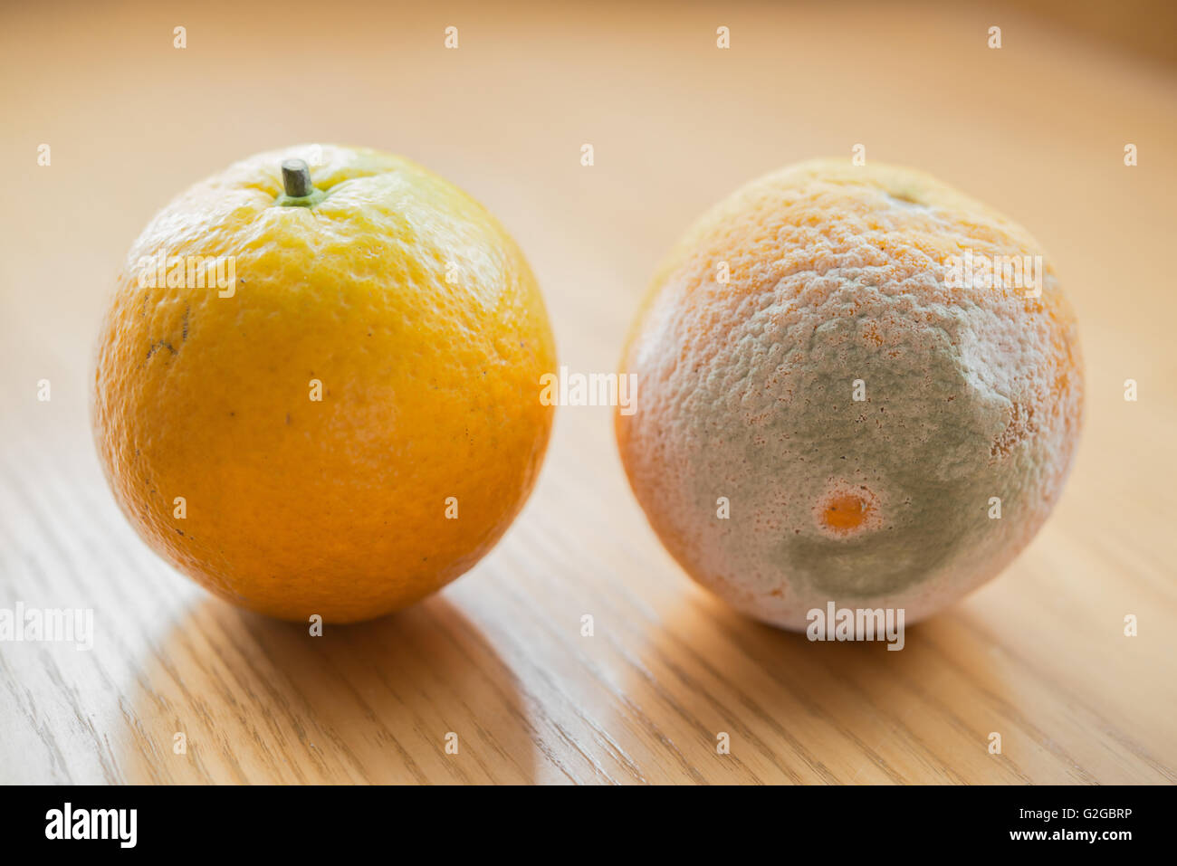 Wooden rotten hi-res stock photography and images - Alamy