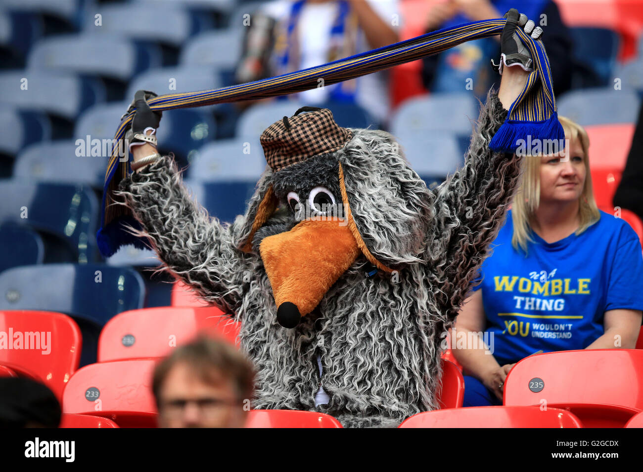A AFC Wimbledon fan dressed as a womble before the Sky Bet League Two ...
