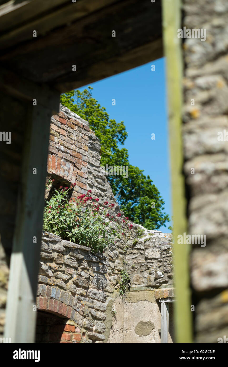 Tyneham is a deserted village on the Dorset coast England UK. It was ...