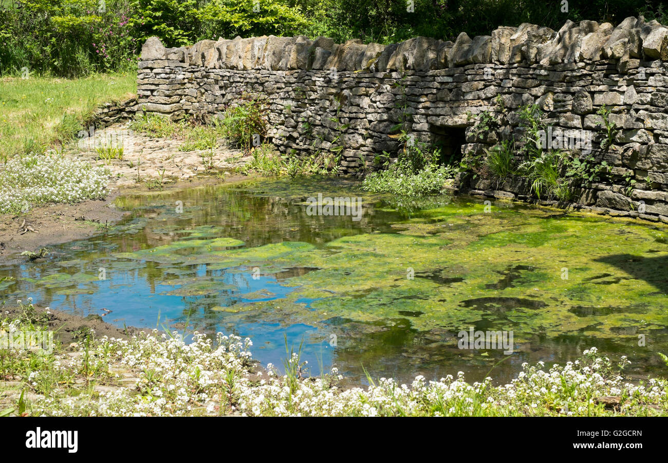 Tyneham is a deserted village on the Dorset coast England UK. It was ...