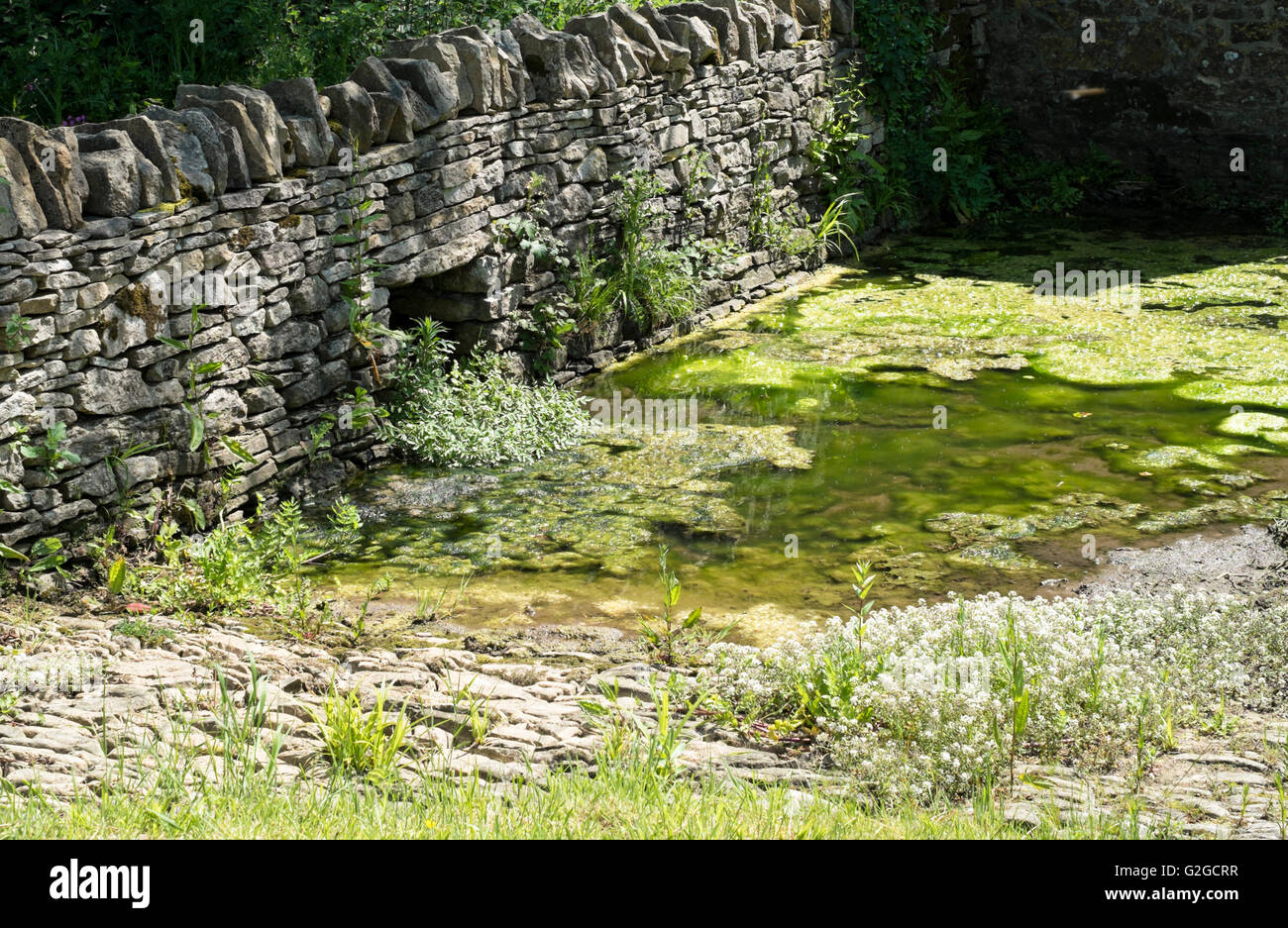 Tyneham is a deserted village on the Dorset coast England UK. It was ...