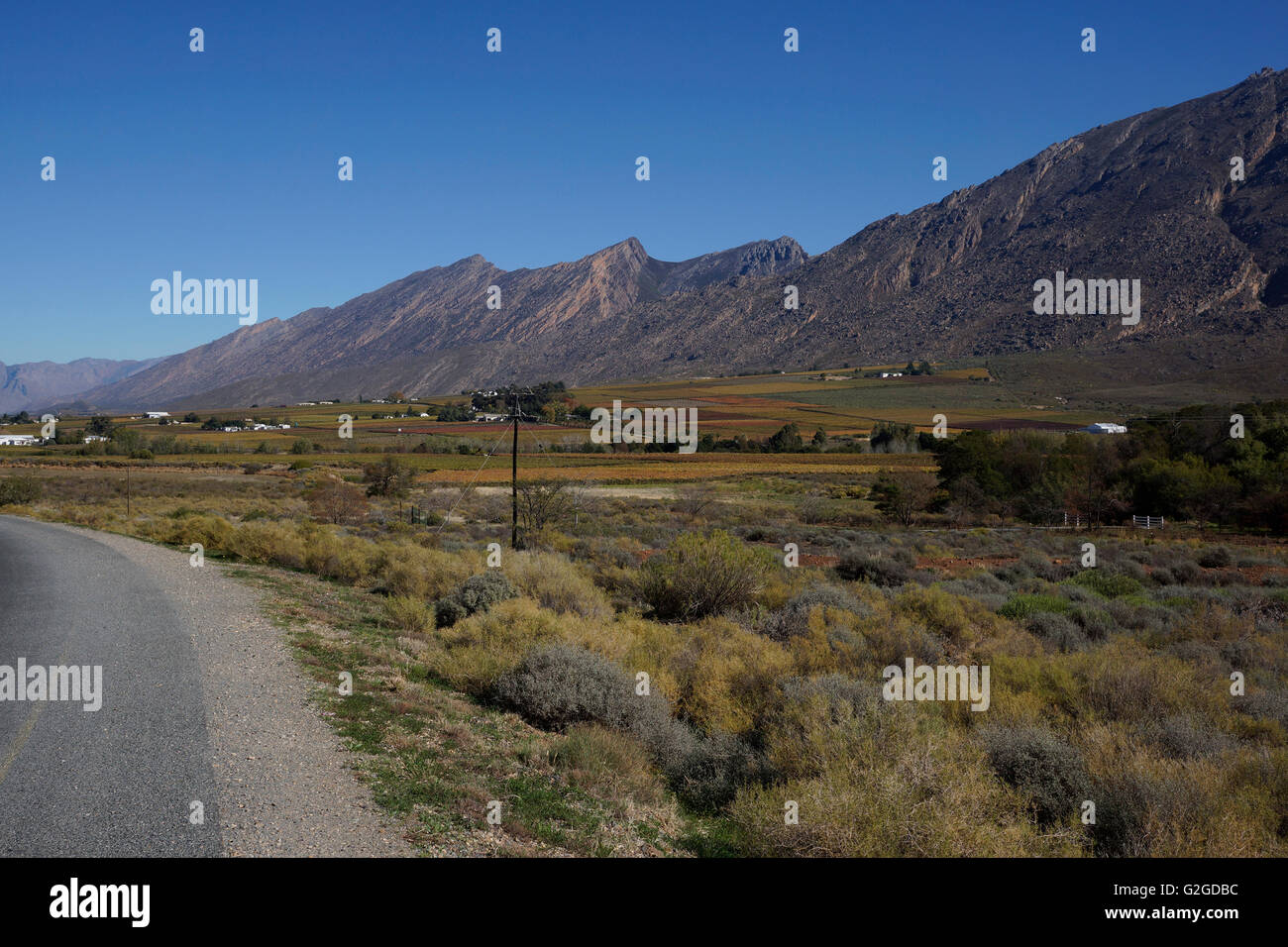 Boland landscape, Western Cape Province, South Africa Stock Photo - Alamy