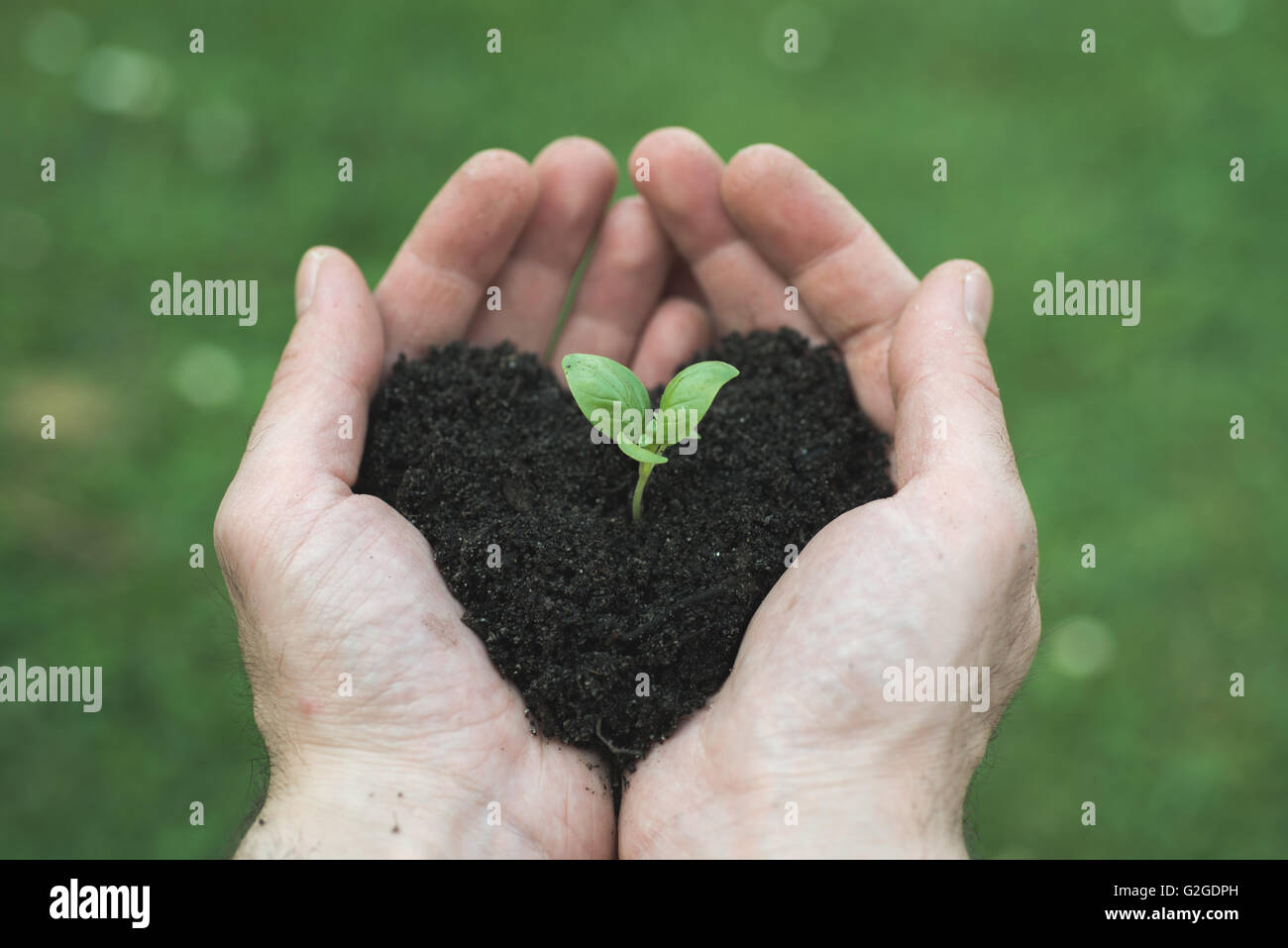 Soil heart hi-res stock photography and images - Alamy