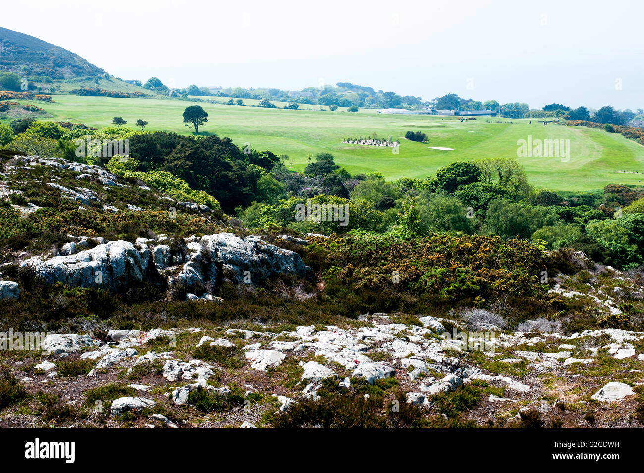 Golf course panoramic flag hi-res stock photography and images - Alamy