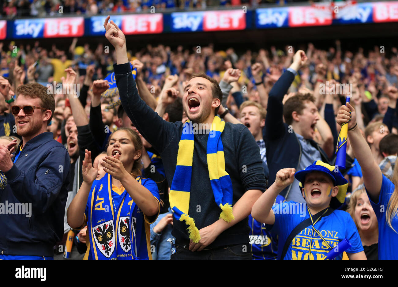 AFC Wimbledon fans celebrate as their side wins a penalty late in the ...