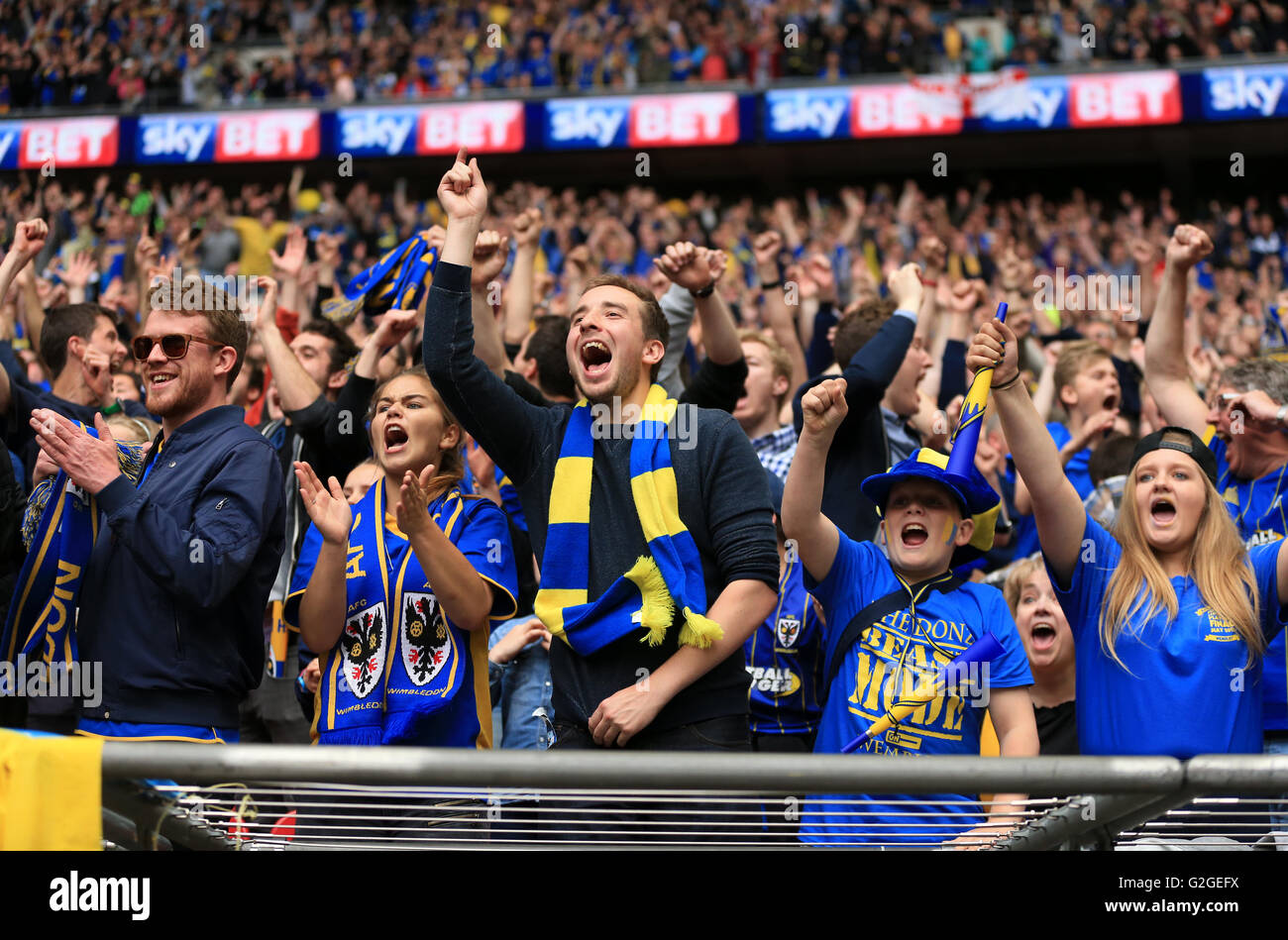 AFC Wimbledon fans celebrate as their side wins a penalty late in the ...