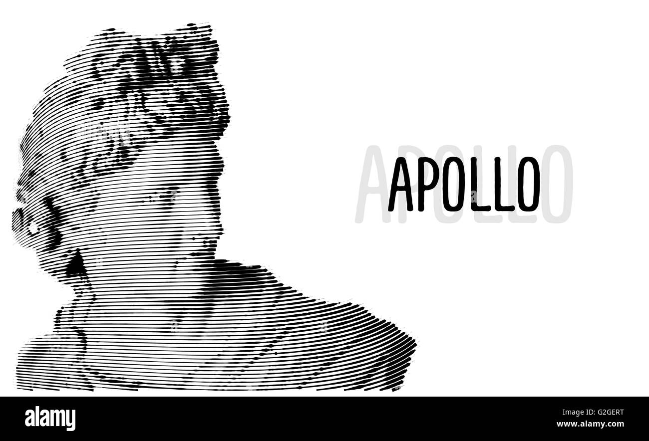 Apollo head antique sculpture engraving sketch Stock Vector Image & Art ...