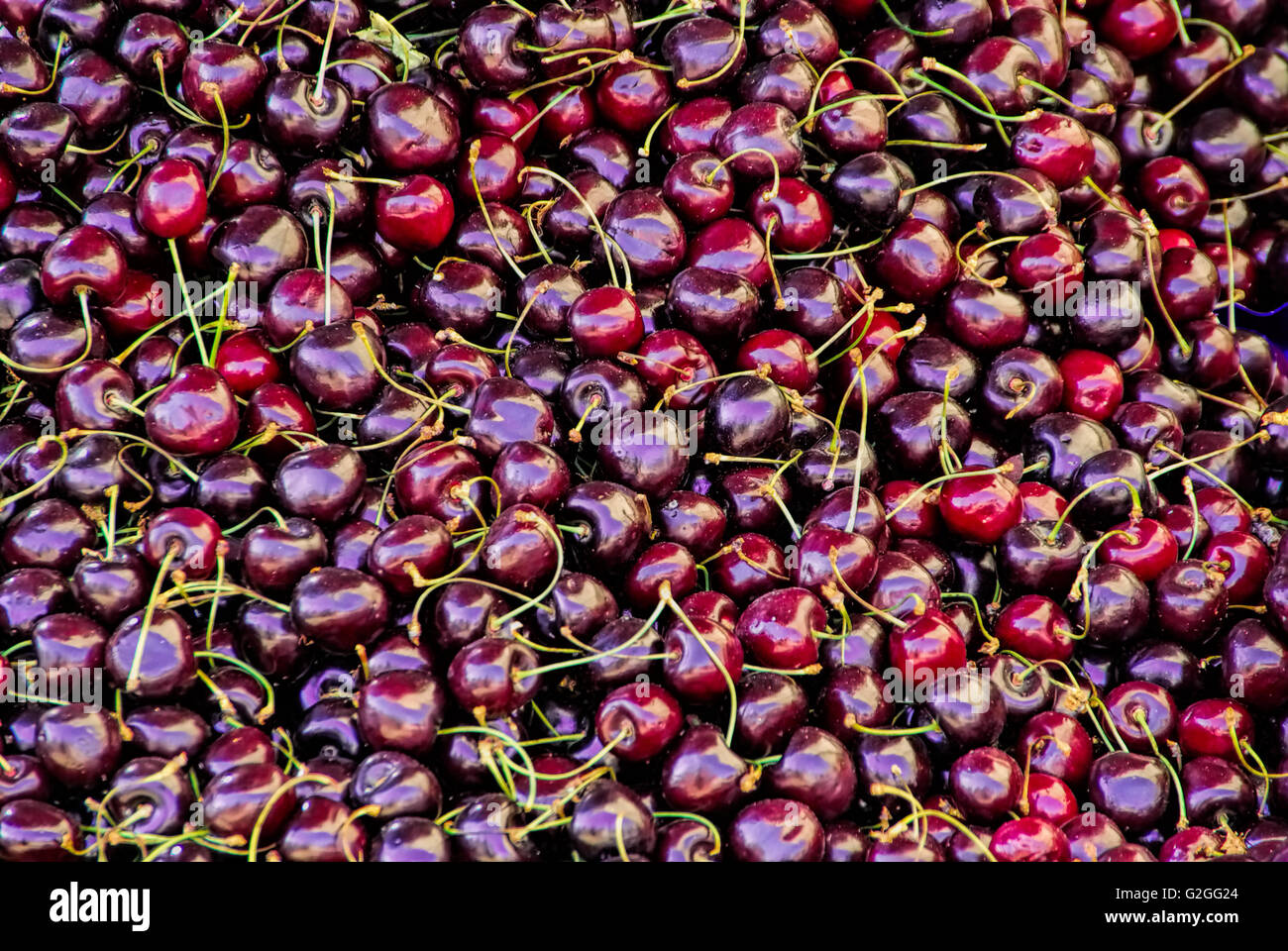 Kirsche - cherry 18 Stock Photo - Alamy