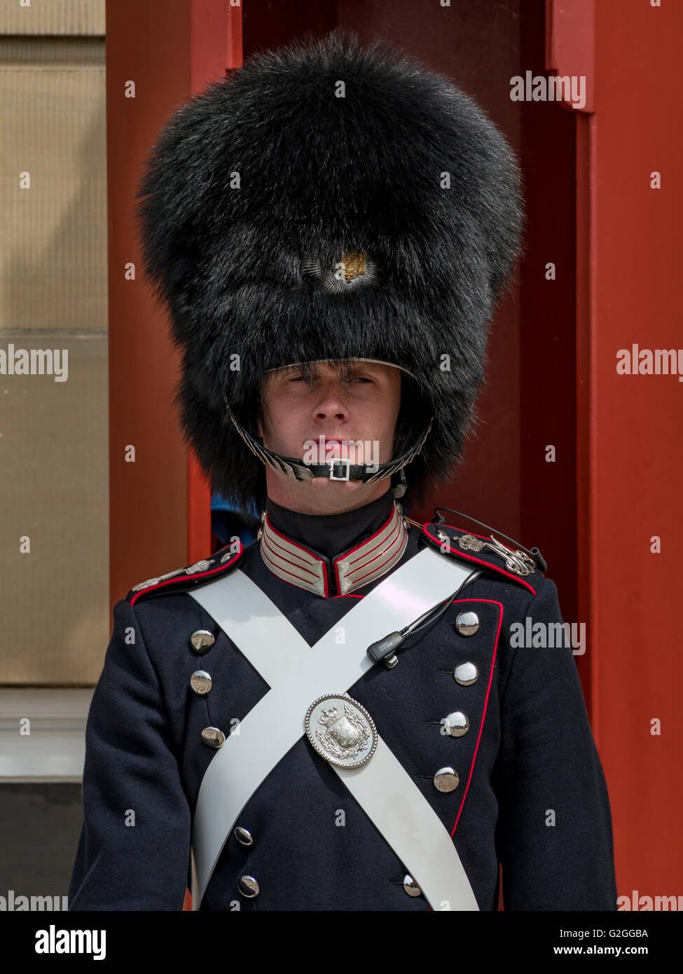 Traditional guard outside amalienborg hi-res stock photography and images - Alamy