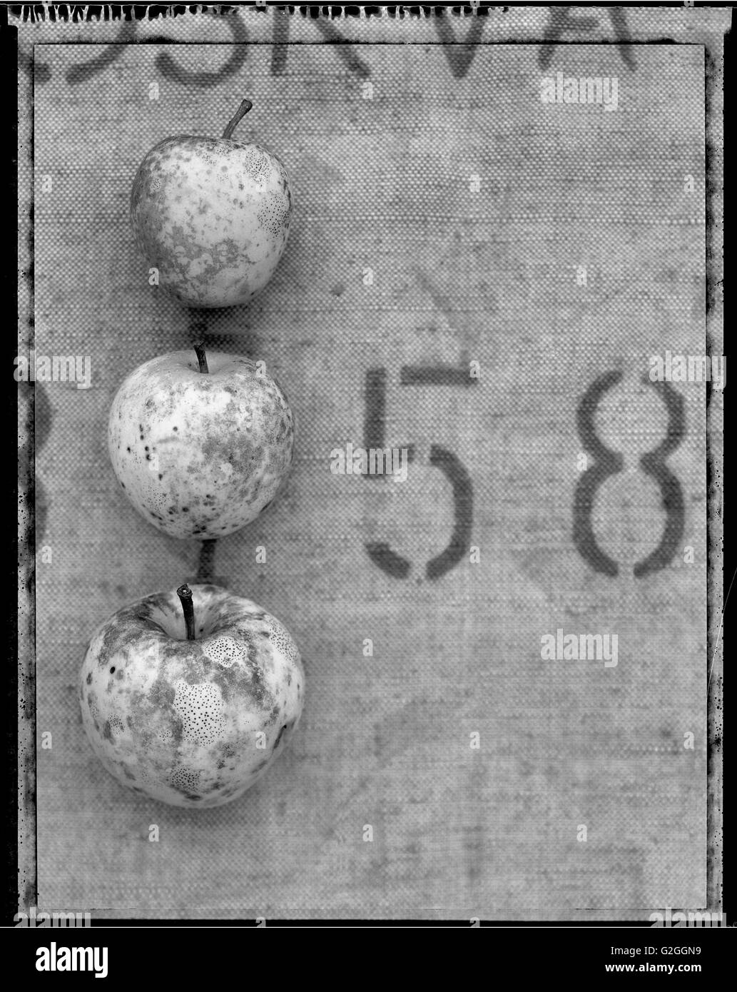 Cloth bag food Black and White Stock Photos & Images - Alamy