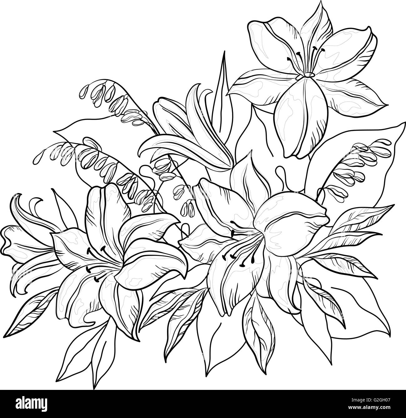 Lily flower silhouette Black and White Stock Photos & Images - Alamy