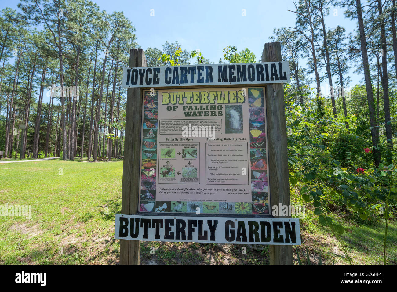 Falling Waters State Park is located in Chipley, Florida, and features ...