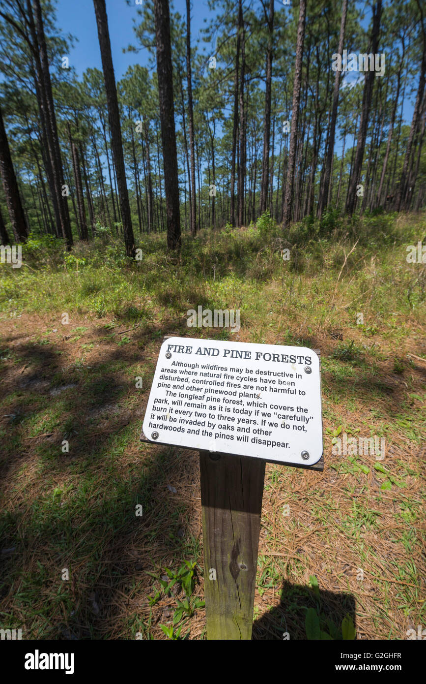 Falling Waters State Park is located in Chipley, Florida, and features ...