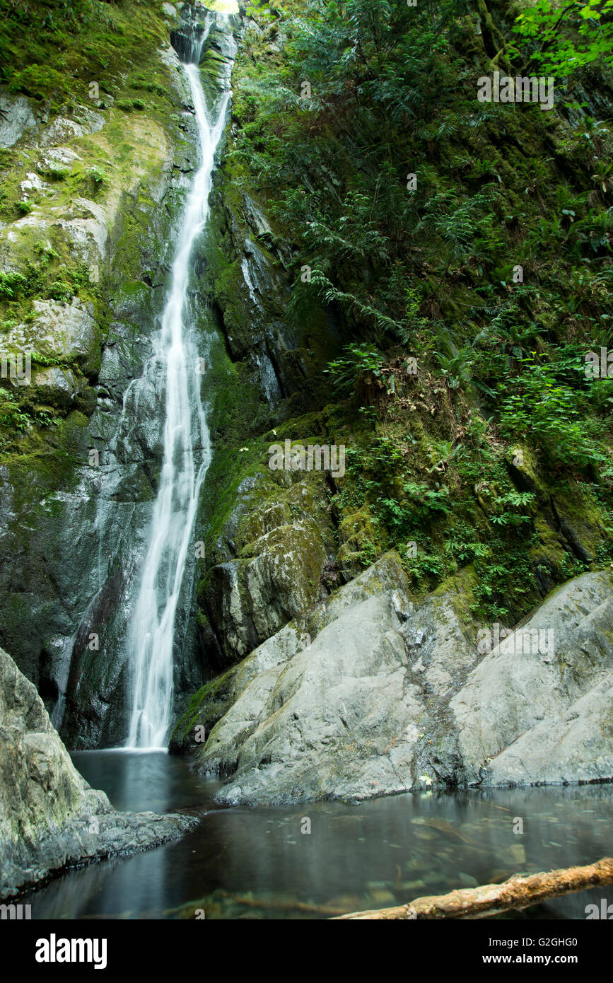 Niagara waterfalls in Goldstream park,Victoria,Canada 4 Stock Photo - Alamy