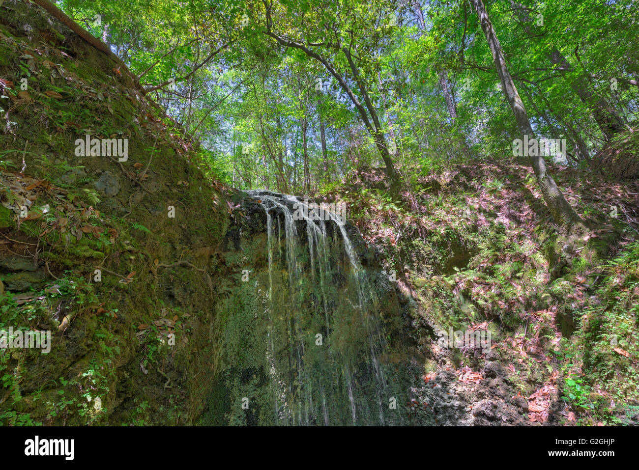 Falling Waters State Park is located in Chipley, Florida, and features ...