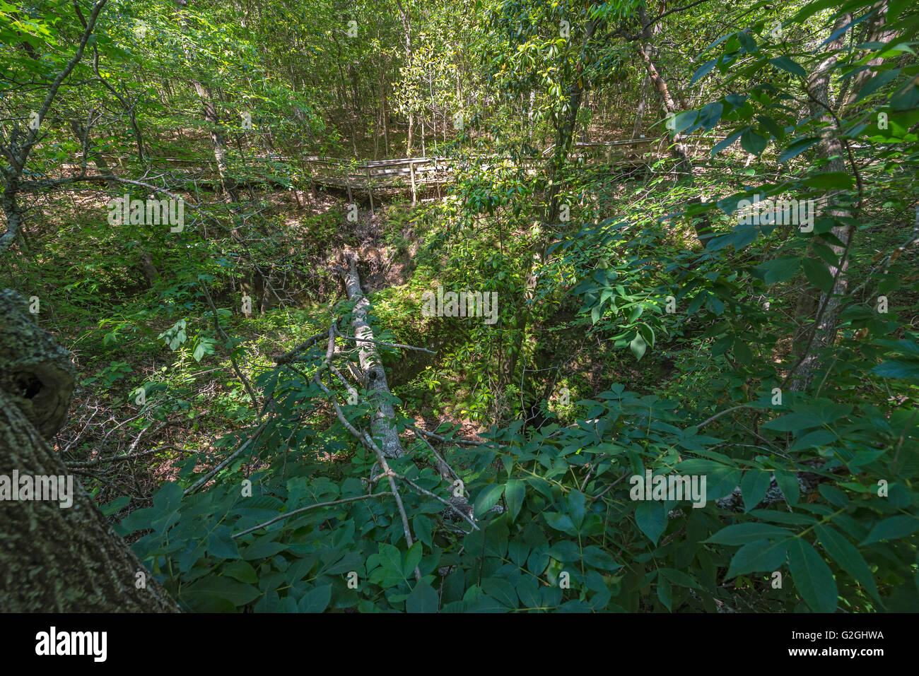 Falling Waters State Park is located in Chipley, Florida, and features ...