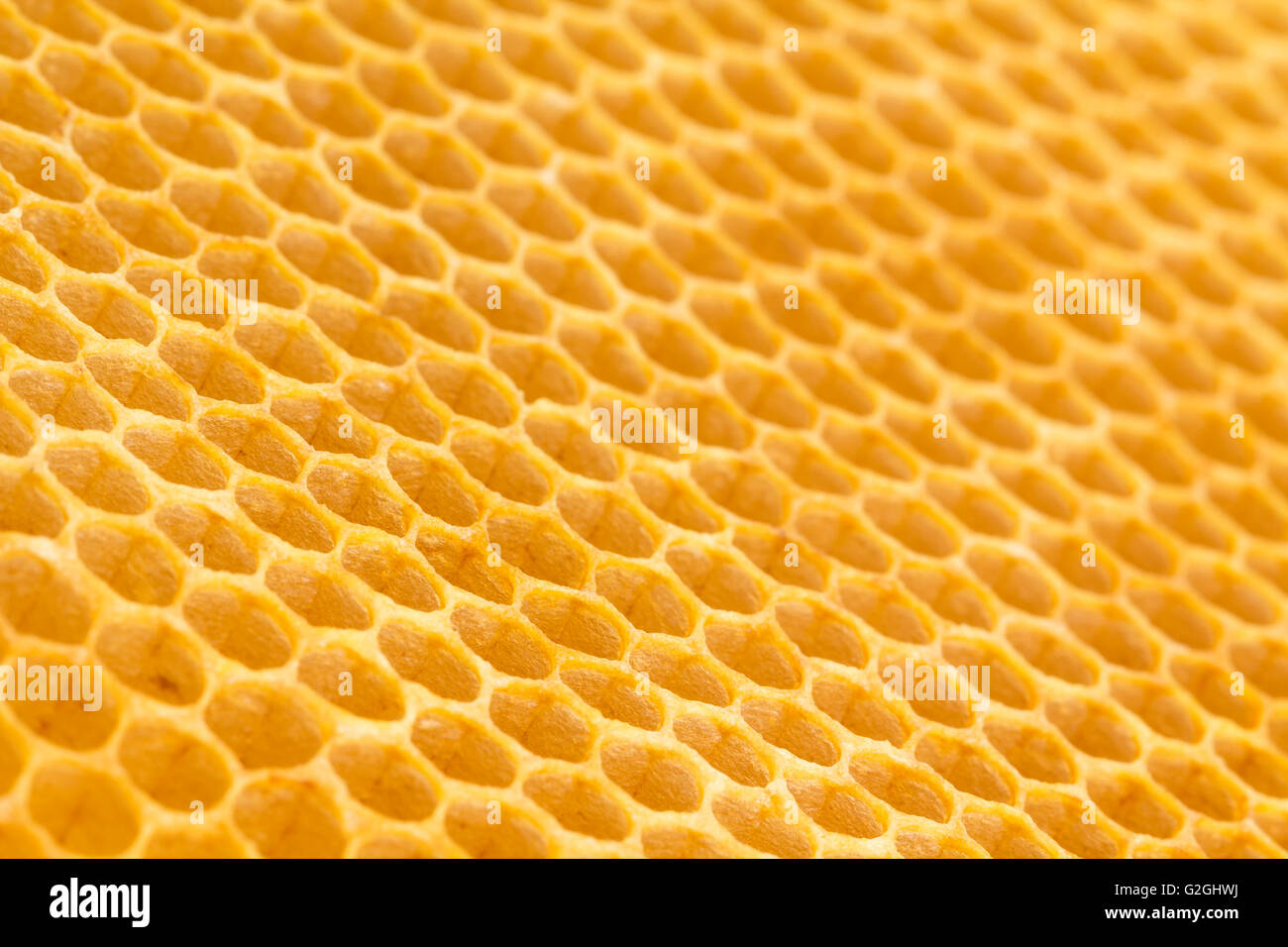 Freshly drawn beeswax honey bee comb drawn off plastic foundation. Low ...