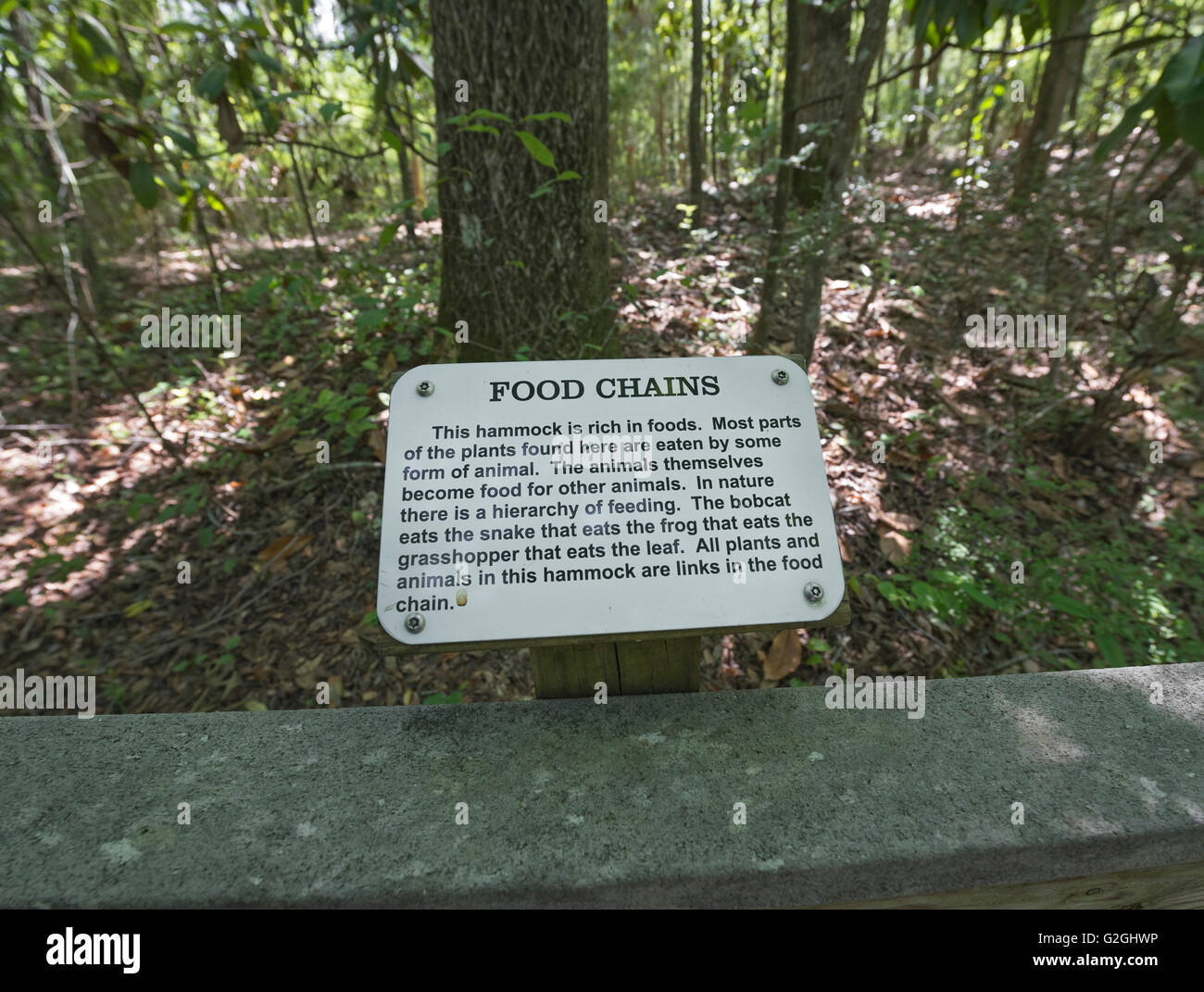 Falling Waters State Park is located in Chipley, Florida, and features ...