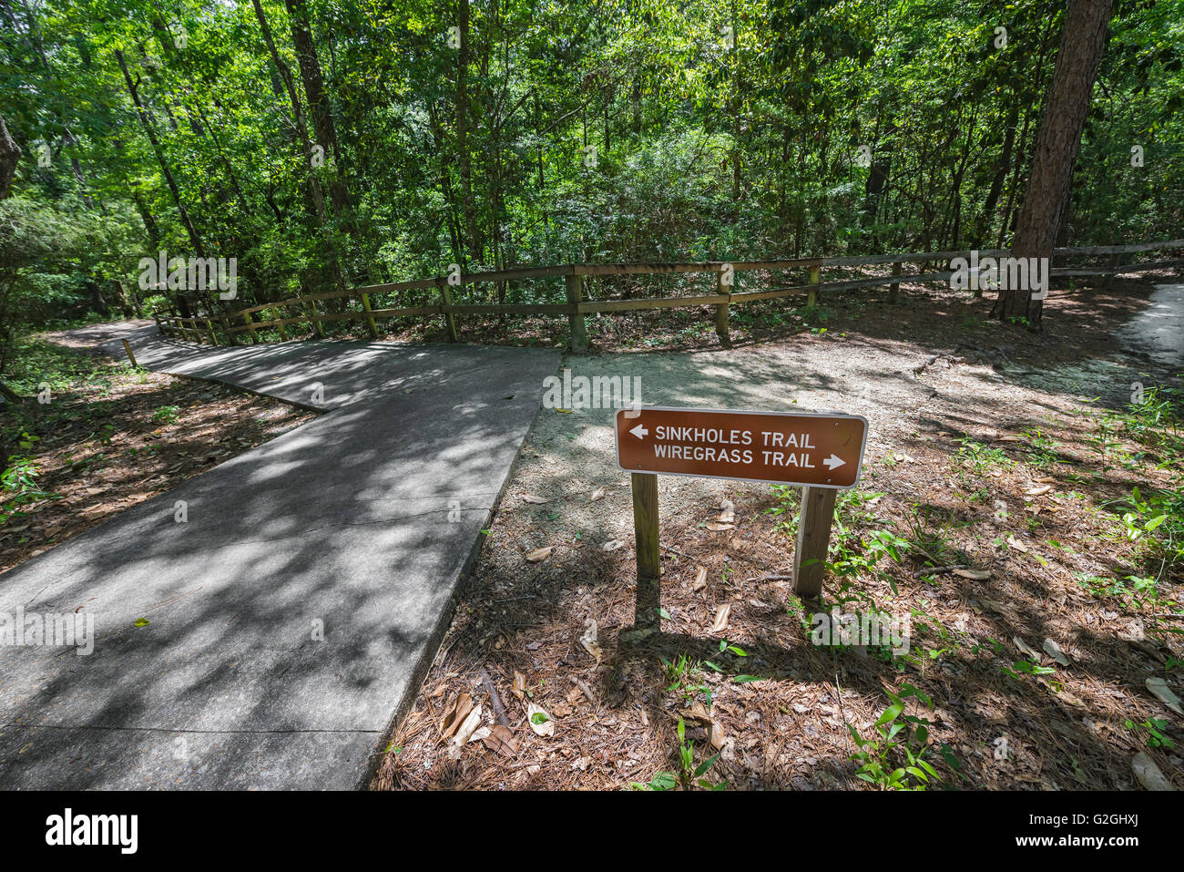 Falling Waters State Park is located in Chipley, Florida, and features ...