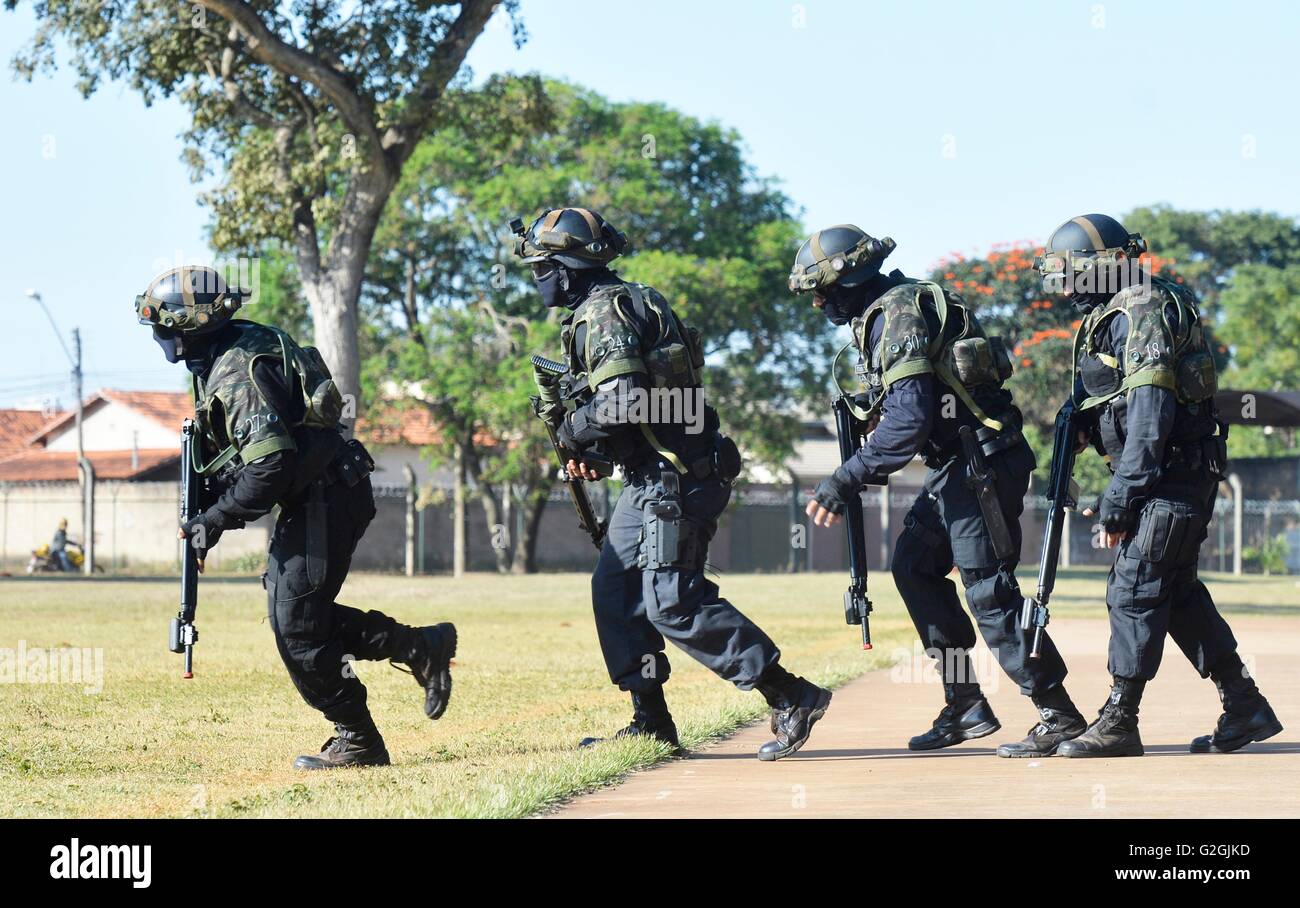 Brazilian marine corps special operations battalion hi-res stock ...