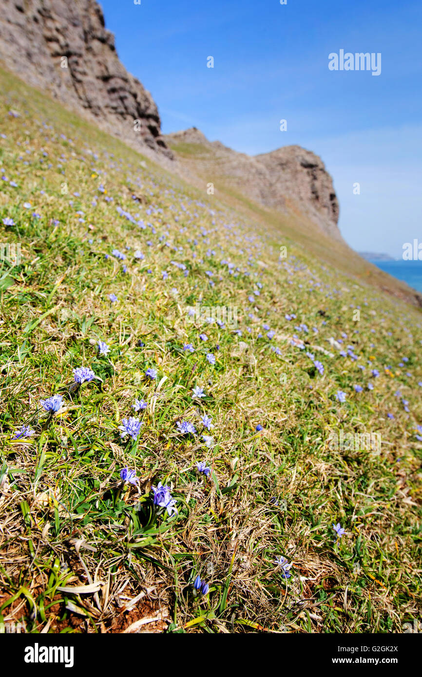 Grazed grass slopes hi-res stock photography and images - Alamy