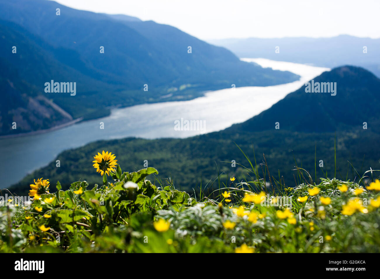 Overlooking the columbia river hi-res stock photography and images - Alamy
