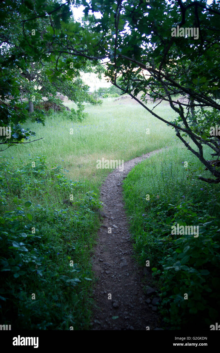 Curved trail hi-res stock photography and images - Alamy