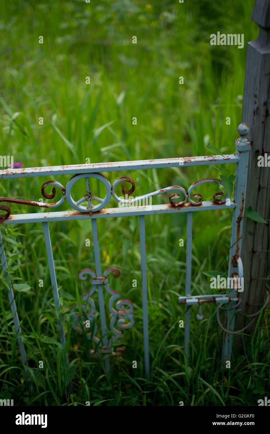 Garden Gate with Tall Grass Stock Photo - Alamy