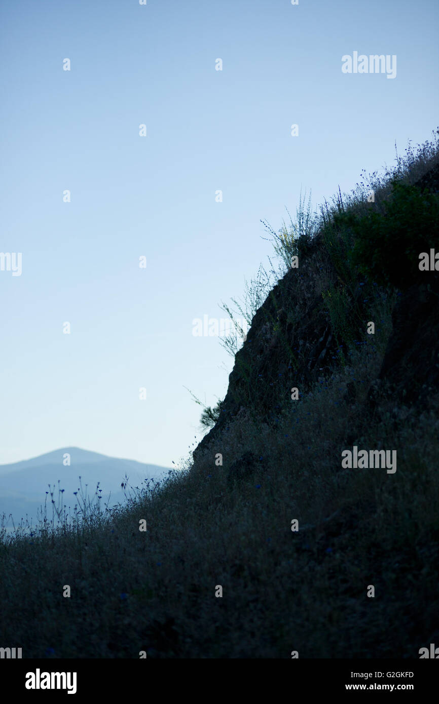 Grassy Hillside with Mountain in Background Stock Photo - Alamy
