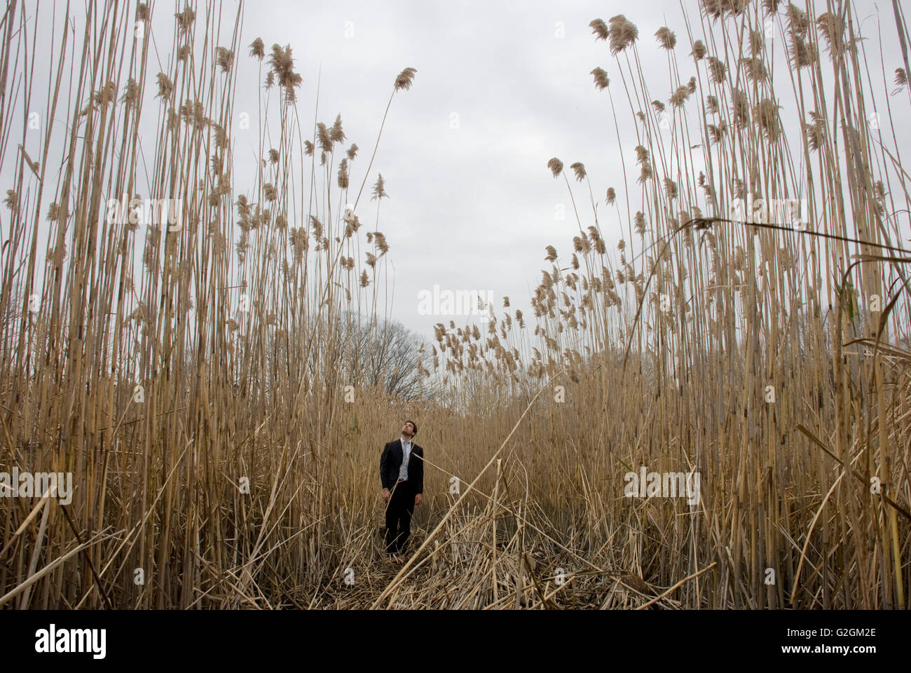 Young Adult Man Standing in Tall Grass Stock Photo - Alamy